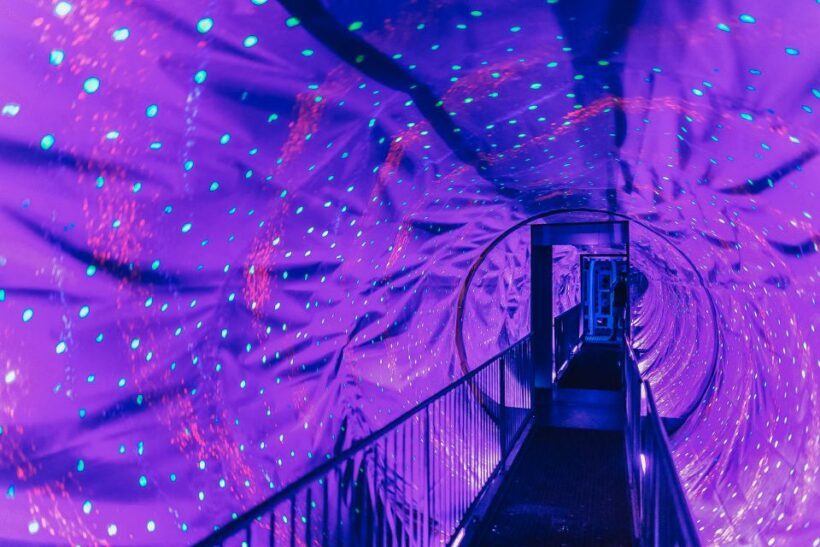 Amsterdam's Weirdest Museum: Believe It or Not! - Key Points