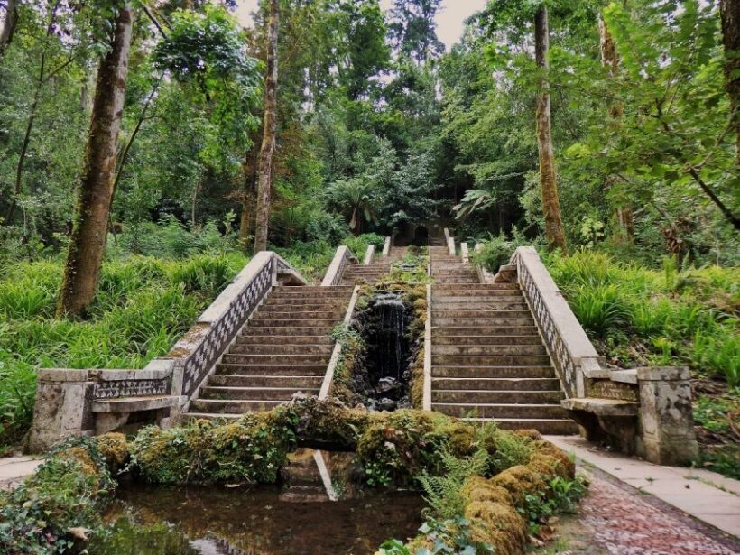 An adventure through the Forest and Palace of Bussaco - Coim - Who Will Love This Tour?