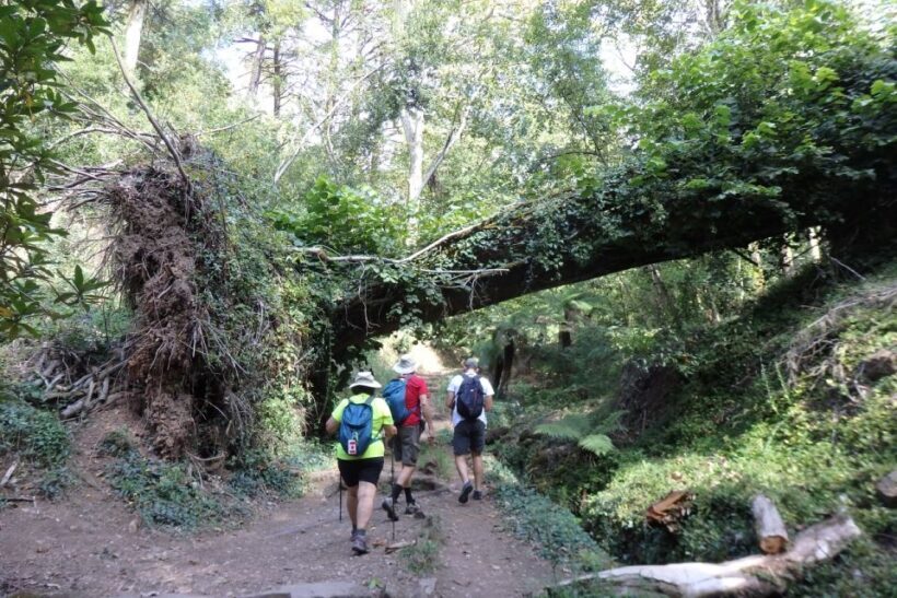 An adventure through the Forest and Palace of Bussaco - Coim - Final Thoughts