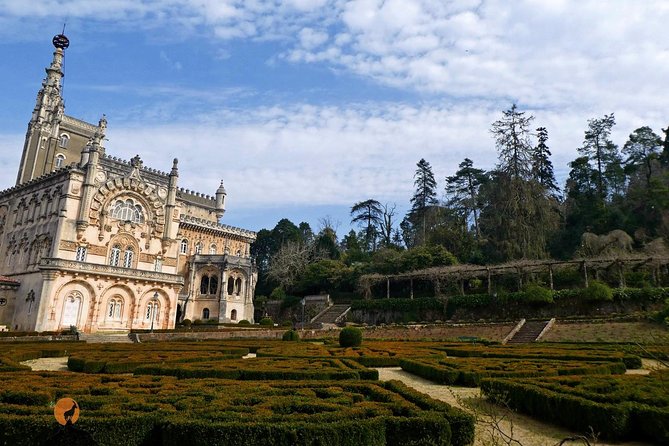 An Adventure Through the Forest and Palace of Bussaco - Coimbra - Practical Tips for Your Adventure
