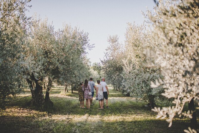 An Authentic Istrian Olive Oil, Wine & Local Food Experience Near Umag - Homemade Delicacies