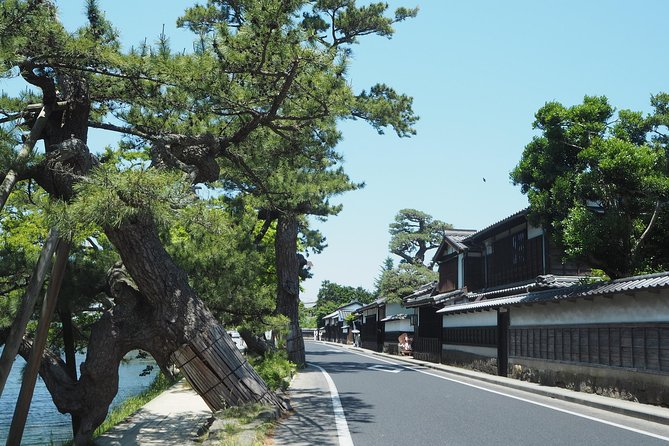 An E-Bike Cycling Tour of Matsue That Will Add to Your Enjoyment of the City - Customer Reviews