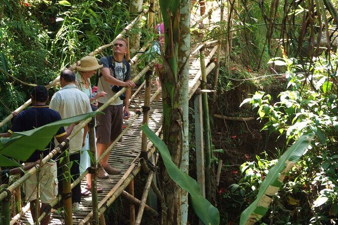 An Eco-Walk through Green Bali - Exploring Green Bali: An Honest Review of the Eco-Walk Tour