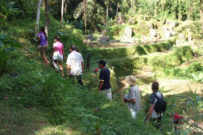 An Eco-Walk through Green Bali - Key Points