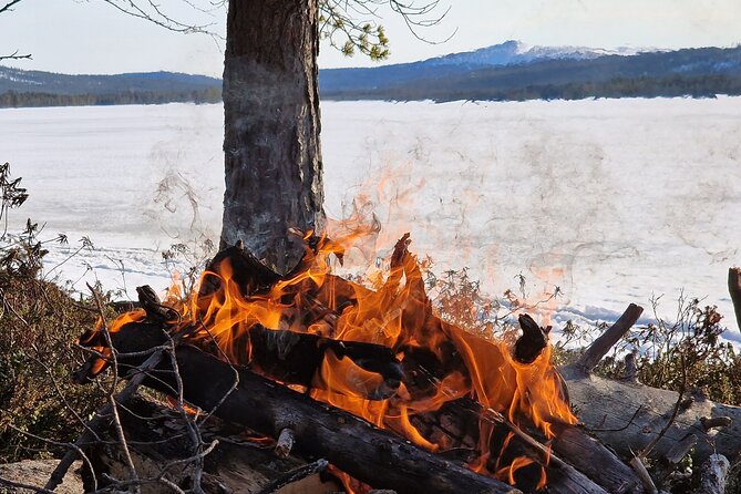 An Evening in the Backcountry, Northern Lights on a Sleighride - Practical Tips for Booking & Participating