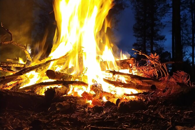 An Evening in the Backcountry, Northern Lights on a Sleighride - Summary for Potential Travelers