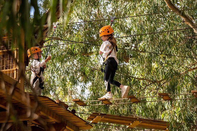 An exciting, Tree Top Adventure for Our Littlest Adventurers - Safety, Staff, and Customer Experience