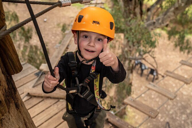 An exciting, Tree Top Adventure for Our Littlest Adventurers - Final Thoughts: Who Should Consider This Experience?