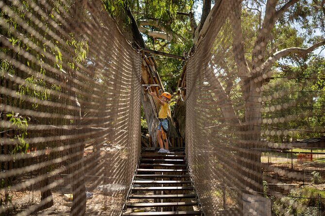 An exciting, Tree Top Adventure for Our Littlest Adventurers - FAQ