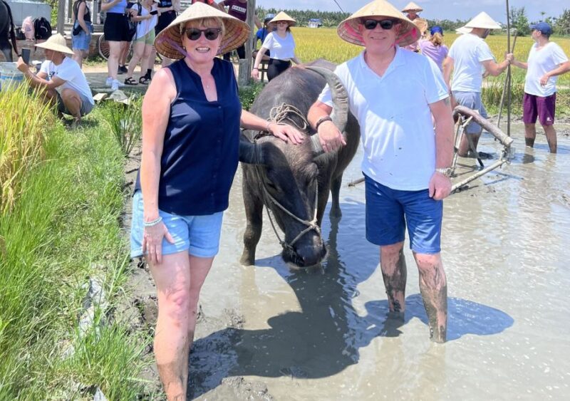 An incredible Hoi An - Water buffalo riding & cooking class - Final Thoughts: Is This Tour Right for You?