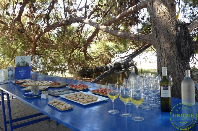 An Unforgettable Day With Fish, Wine and Olive Oil Tasting - The Art of Olive Oil Tasting