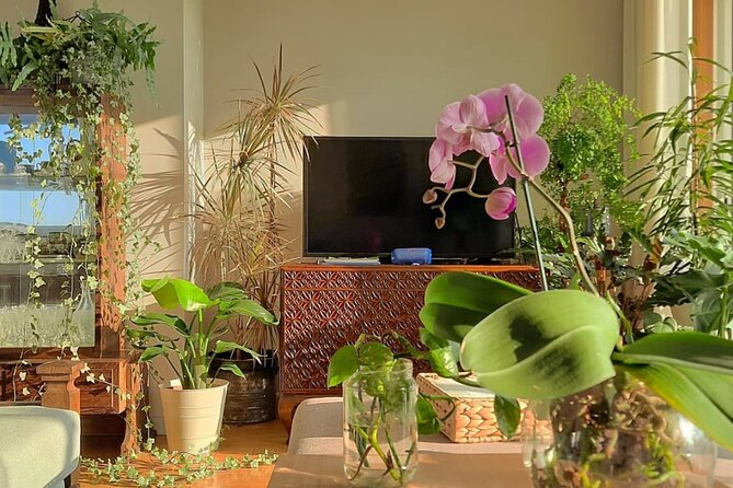 An Unforgettable Evening: Authentic Portuguese Dinner in Porto - Preparing for the Authentic Dinner