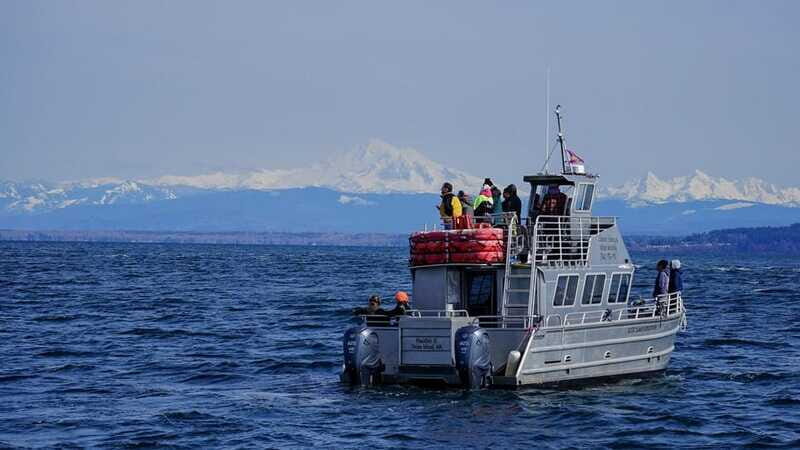 Anacortes: Orca Whales Guaranteed Boat Tour near Seattle - FAQ