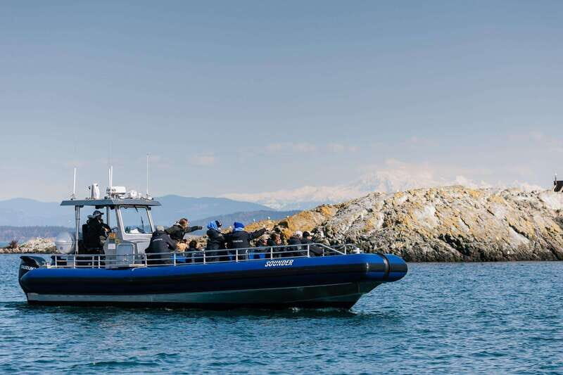Anacortes: Whale Watching Adventure Tour Near Seattle - Practical Considerations: Booking, Cost, and Logistics
