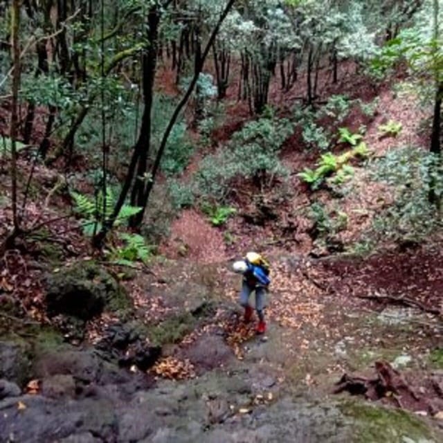 Anaga Canyoning - Why This Tour Stands Out