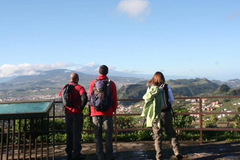 Anaga, La Laguna and Tacoronte-Acentejo - Forests, history and wines: VIP Tour - Exploring Tenerife with a Private Touch