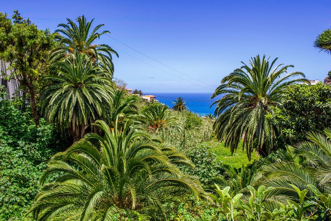 Anaga Private Tour: Valleys of Nature and Tradition - Savor the Culinary Delights of the Canary Islands