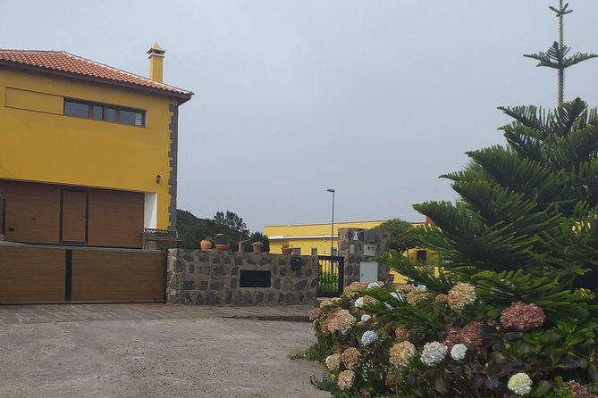 Anaga the enigmatic forest - Final Thoughts: Who Is This Tour Best For?