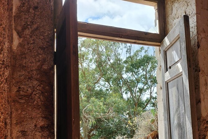 Anaga Total: Adventure between Forests, Summits and Sea. - Exploring the Itinerary in Detail