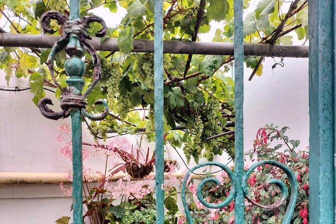 Anaga Total: Adventure between Forests, Summits and Sea. - Authenticity and Review Highlights