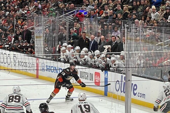 Anaheim Ducks NHL Game Ticket at Honda Center - The Itinerary in Detail