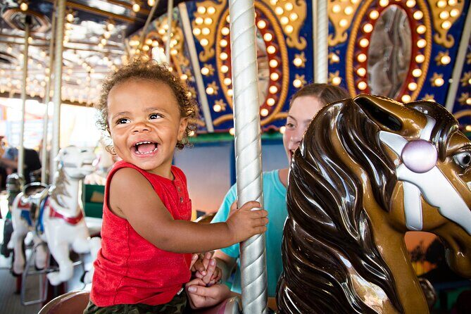 Anaheim Resort Private Transfer to or from John Wayne Airport. - Additional Notes and Practical Tips