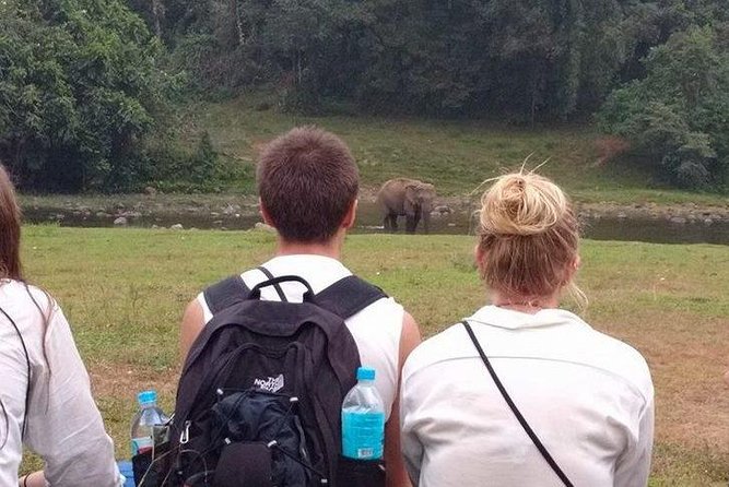 Anakulam Wild Elephant Village life tour ( By Munnar Info) - Key Points at a Glance