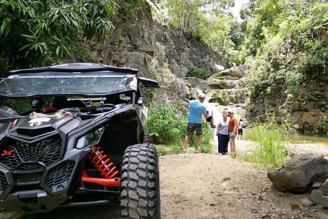 Añasco-Bunny Fever Adventure Experience - The Overall Experience: Value and Atmosphere