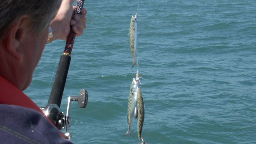 Ancestral fishing: Fishing with an experienced Rapa Nui - The Itinerary in Detail