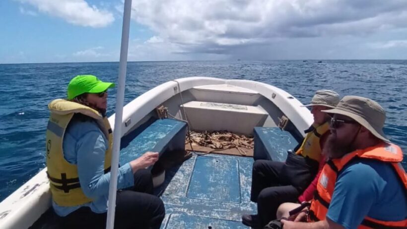 Ancestral fishing: Fishing with an experienced Rapa Nui - What’s Included and What’s Not
