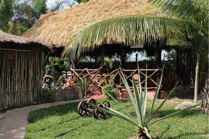 Ancestral Mayan Private Culinary Experience in Merida - What’s the Real Value?