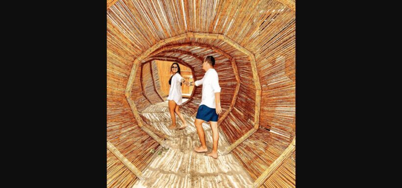 ANCESTRAL - - Key Points