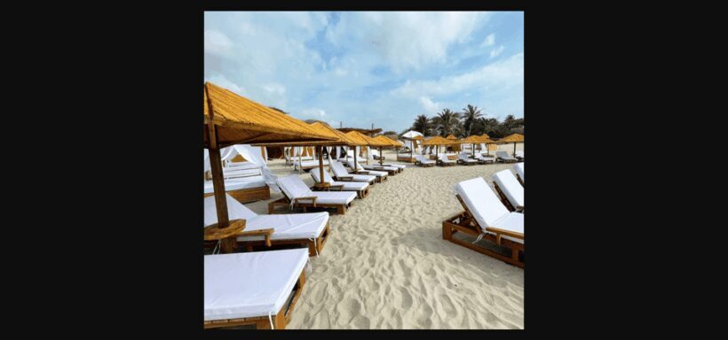 ANCESTRAL - - Frequently Asked Questions