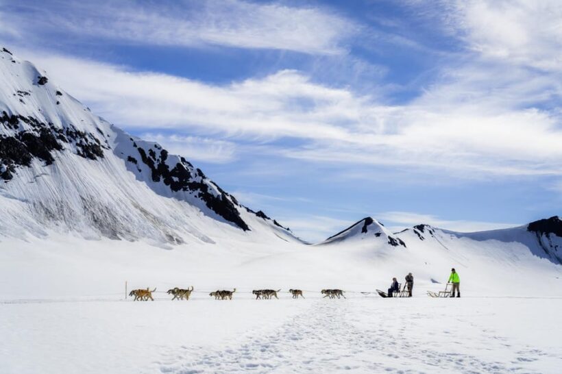 Anchorage Area: Helicopter and Glacier Dogsled Tour - Glacier Dogsledding: Meeting the Canine Athletes