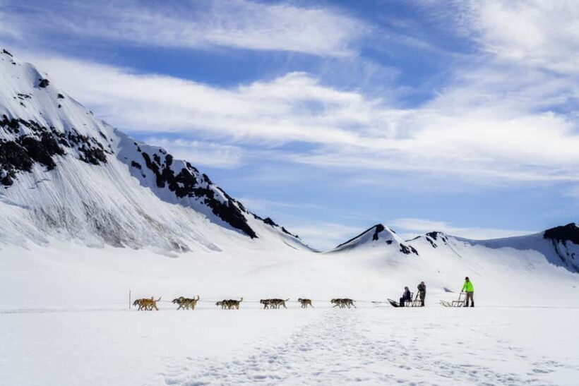 Anchorage Area: Helicopter and Glacier Dogsled Tour - Practical Aspects and What To Expect