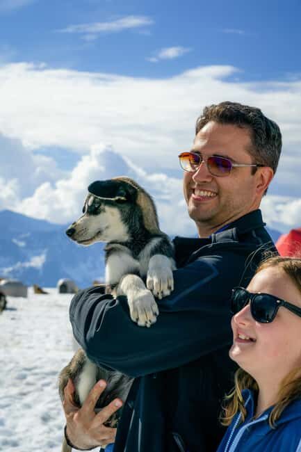 Anchorage Area: Helicopter and Glacier Dogsled Tour - What Do the Reviews Say?