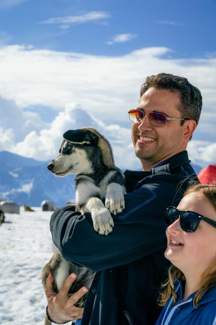 Anchorage Area: Helicopter and Glacier Dogsled Tour - Key Points