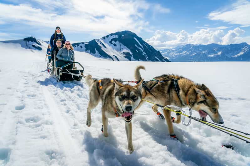 Anchorage Area: Helicopter and Glacier Dogsled Tour - Practical Tips for Participants