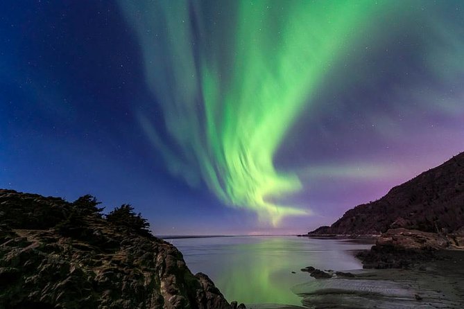 Anchorage Aurora Tour and Northern Lights Photo - What to Expect on the Tour