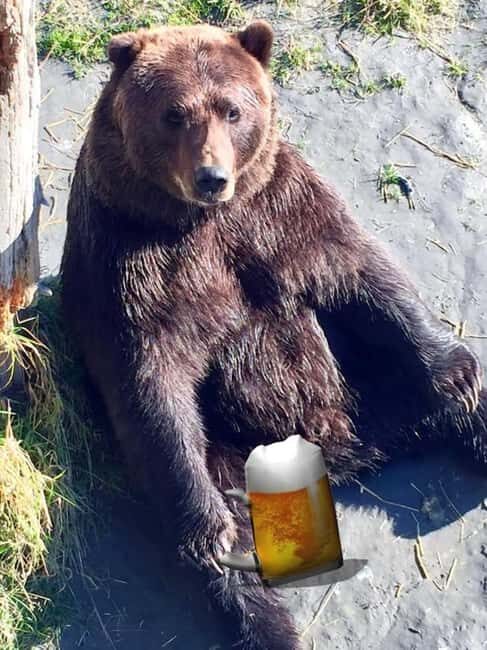 Anchorage: Bears, Beers, and Glacier Tour - Transportation and Timing