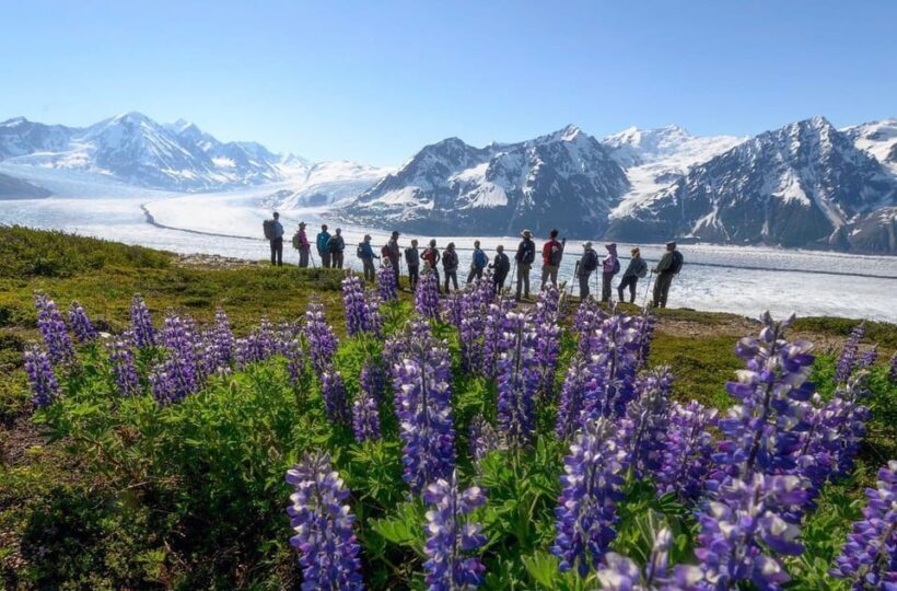 Anchorage: Grand Knik Glacier Helicopter Tour with Landings - The Authenticity and Experience
