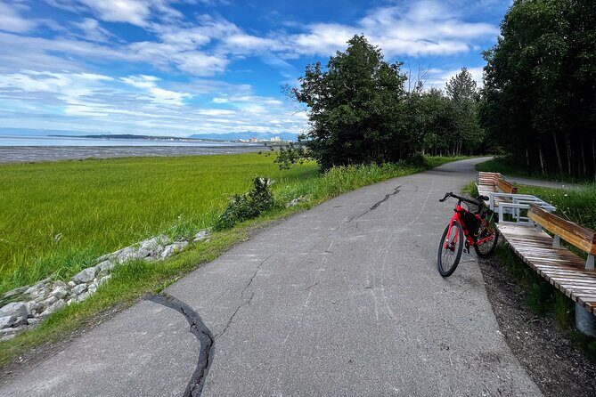 Anchorage Greenbelt Bike Tour - The Experience: Authentic, Personal, and Wildlife-Focused