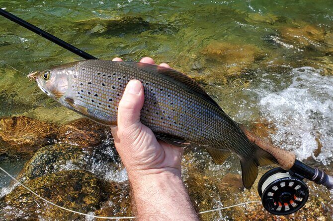 Anchorage Guided Fly-fishing - Who Will Love This Tour?