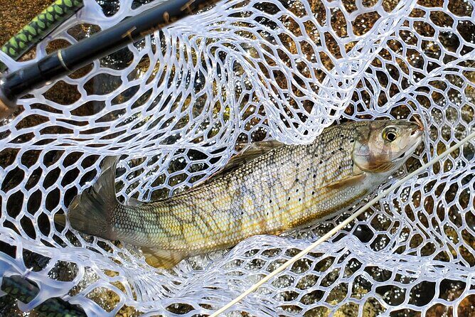 Anchorage Guided Fly-fishing - Final Thoughts