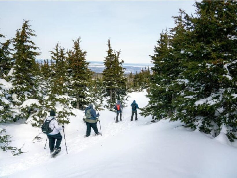 Anchorage: Heli Snowshoe Adventure - Practical Tips for Travelers