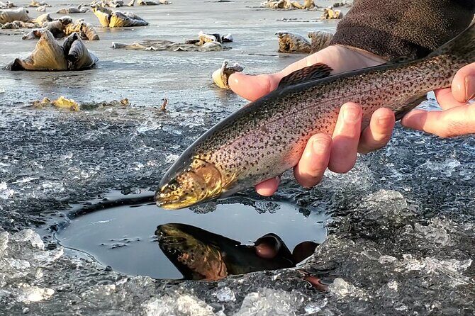 Anchorage Ice Fishing Adventure - An Authentic Taste of Alaska’s Winter Outdoors