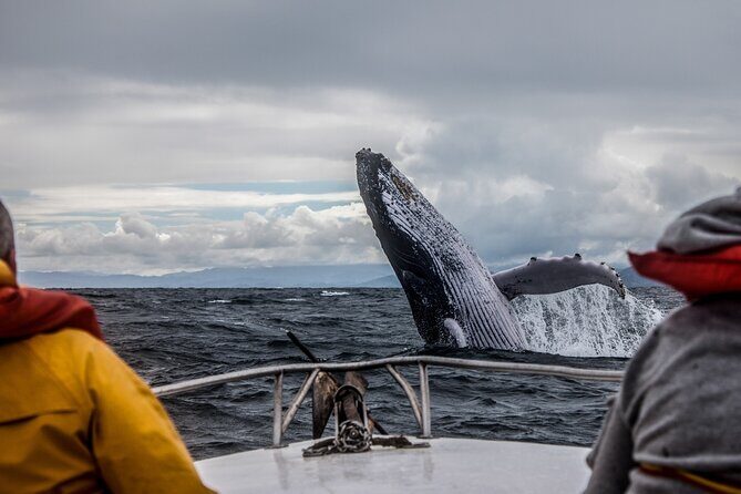 Anchorage: Kenai Fjords & Denali National Park 5 Day 4 Night Tour - The Sum Up: Who Will Appreciate This Tour?