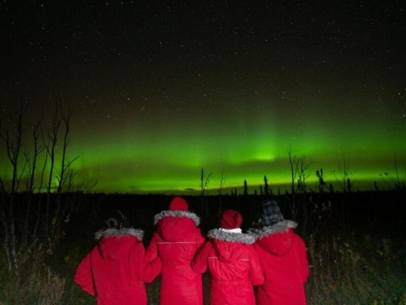Anchorage: Nighttime Northern Lights Tour - The Value and Price