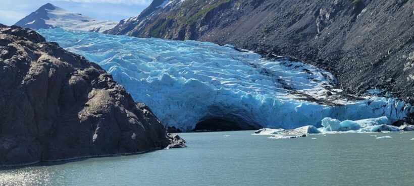 Anchorage: Portage Glacier and Wildlife Explorer Cruise - Wildlife Conservation Center: A Wildlife Enthusiast’s Delight
