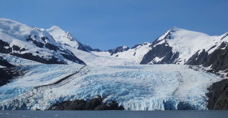 Anchorage: Portage Glacier and Wildlife Explorer Cruise - What Makes This Tour Stand Out